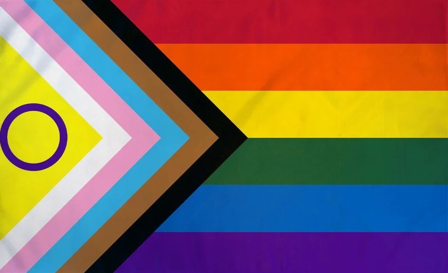 New Disability-Inclusive Pride Flag unveiled at London Pride ...